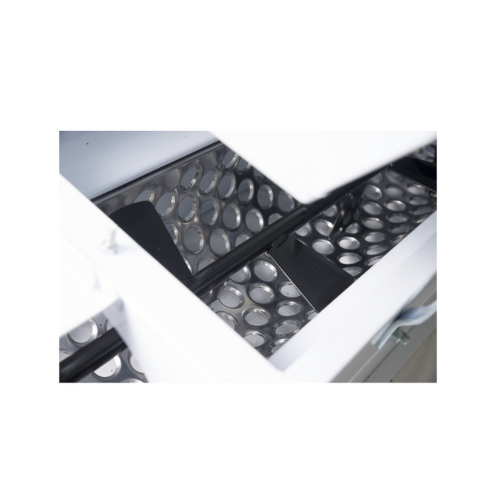 Grifo Motorized Grape Crusher & Grape Destemmer